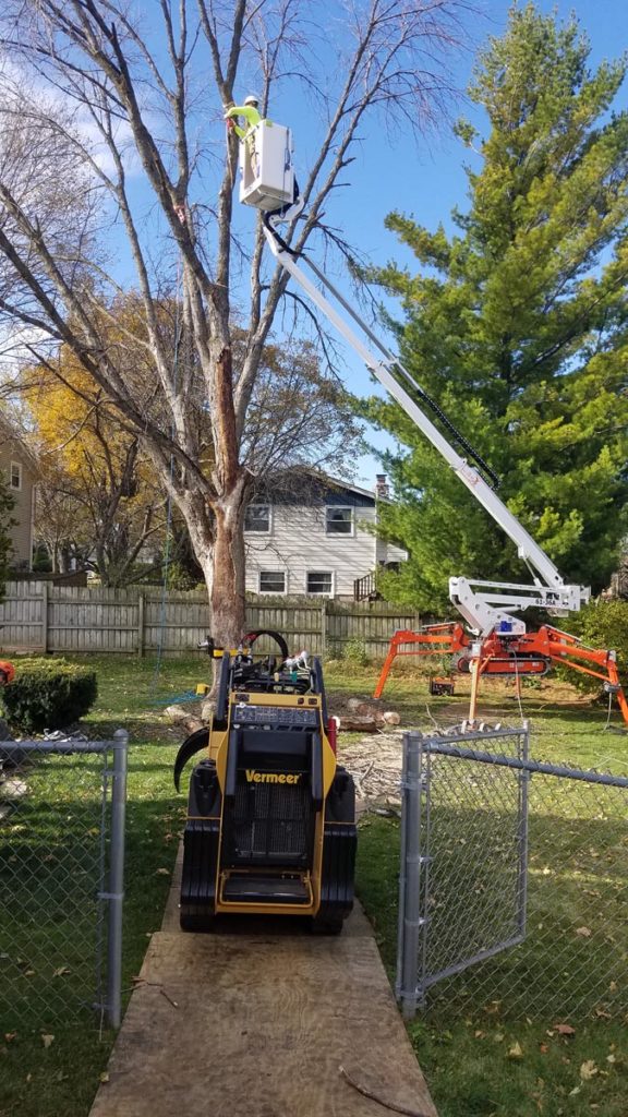 Dan's Tree Service Photo Gallery | Dan's Tree Service Inc.